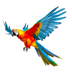 Zebec of North America